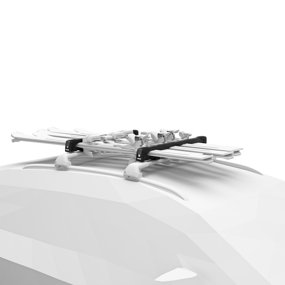 Thule SnowPack L | Thule | Schweiz