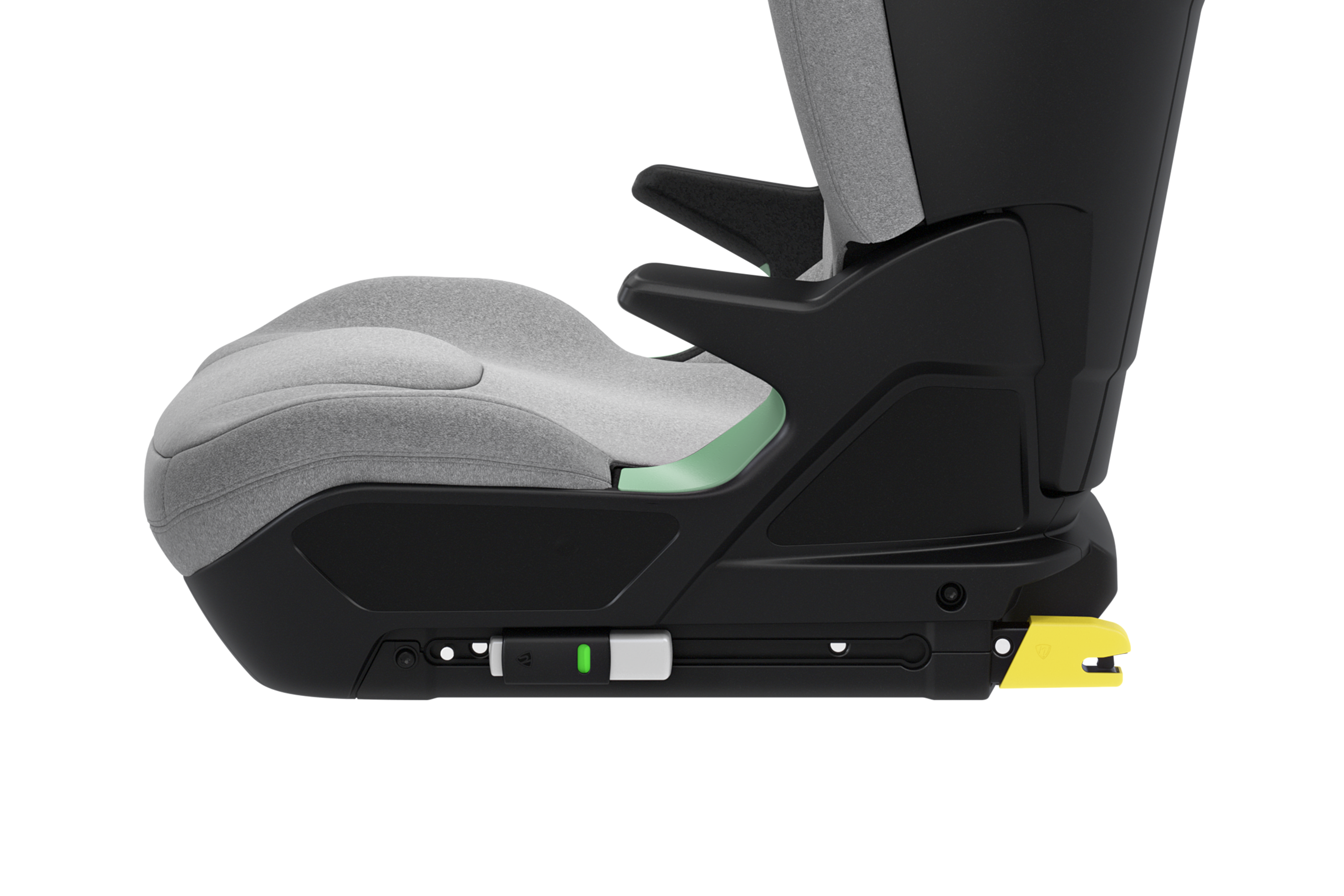 Thule Palm | Thule | Portugal