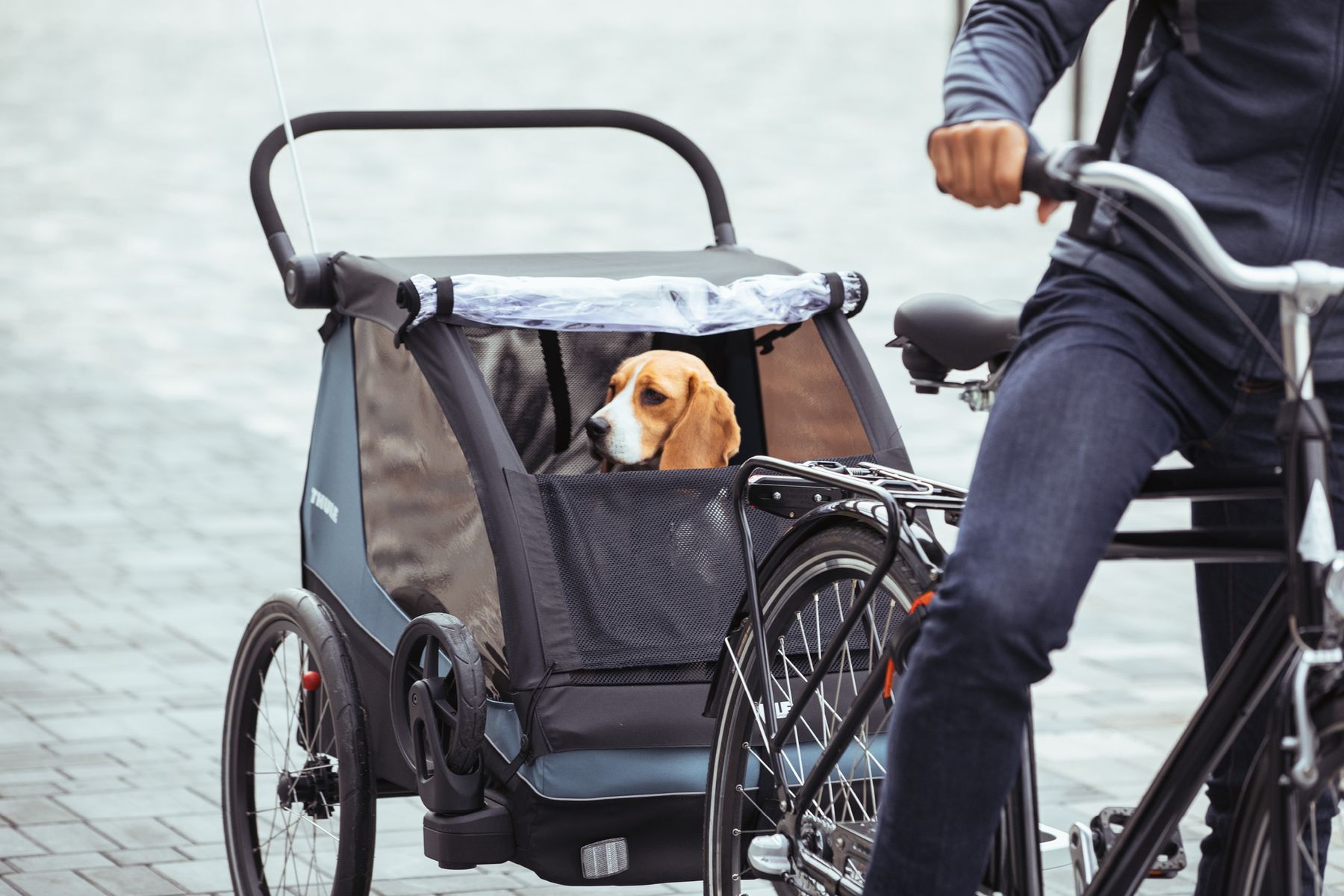 Thule Courier Dog Trailer Kit | Thule | United States