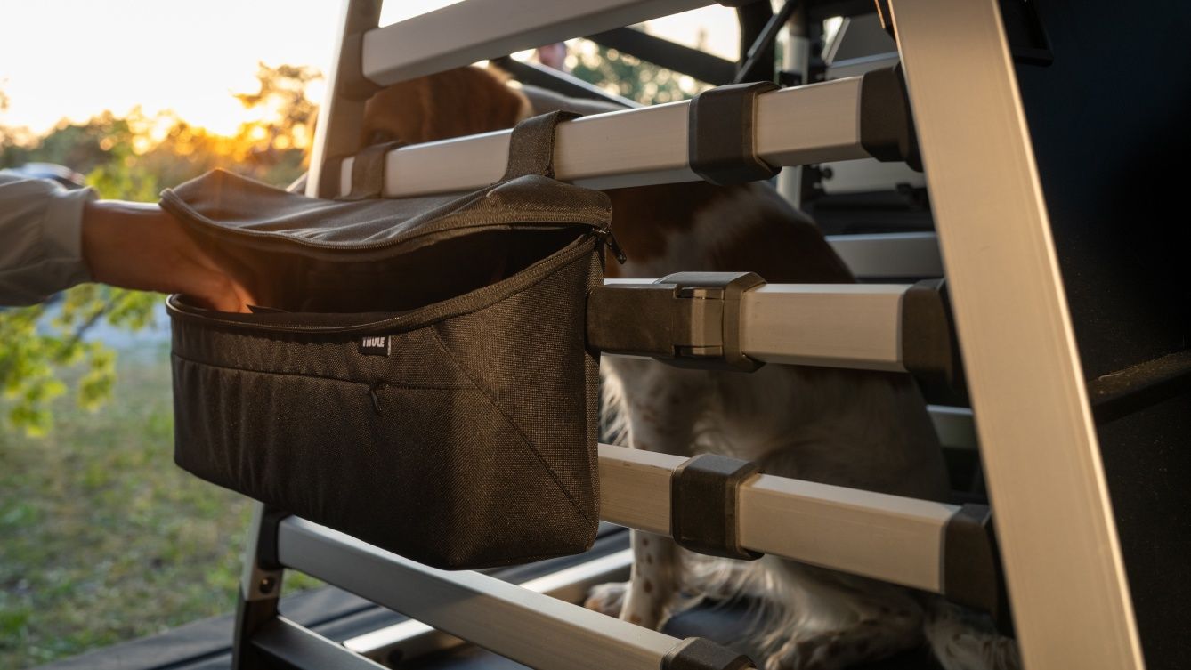 La guía completa de los productos para perros Thule | Thule | México