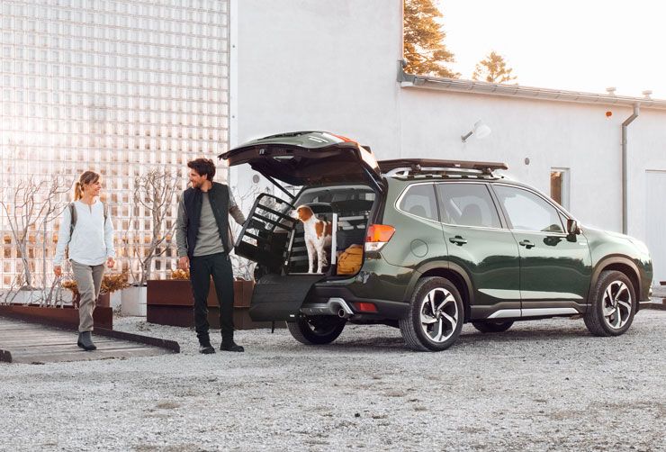 Guides | Thule | France
